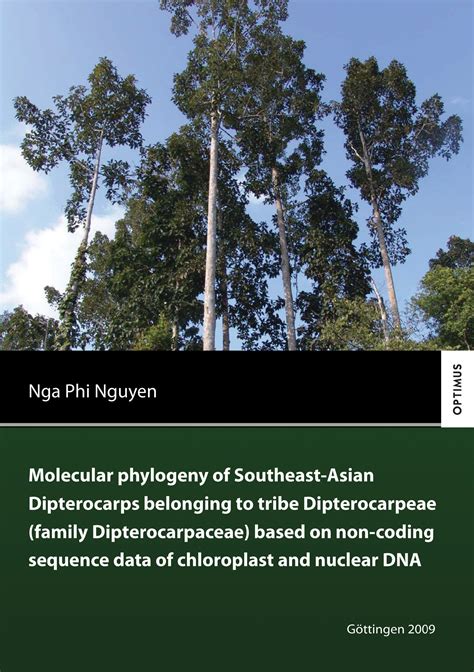 Molecular Phylogeny Of Southeast Asian Dipterocarps Sieversmedien