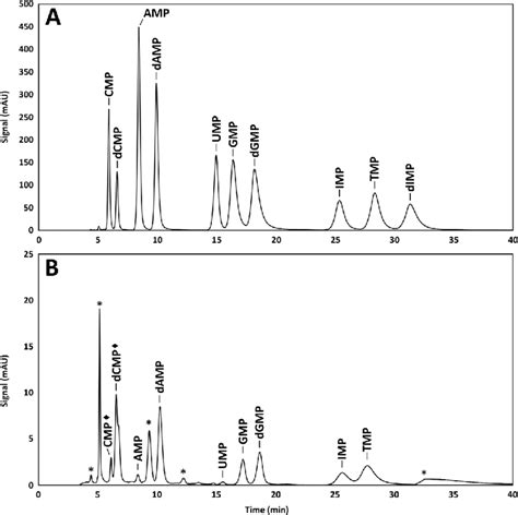 Hplc Uv Chromatograms Of A Standard Mixture A And A Milli Q Extract Download Scientific