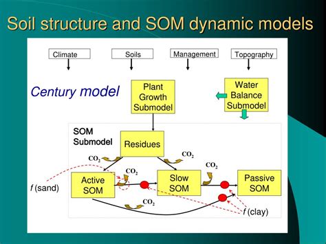 PPT Soil Structure And C Sequestration Under No Tillage Management PowerPoint Presentation