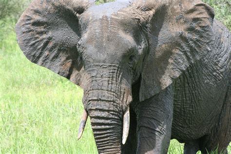 Postgresql Full Text Search Fts And Keycloak Part I By 3 S It Medium