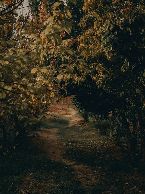 خلفياتبيسيانمي4k Photos Download The Best Free خلفياتبيسيانمي