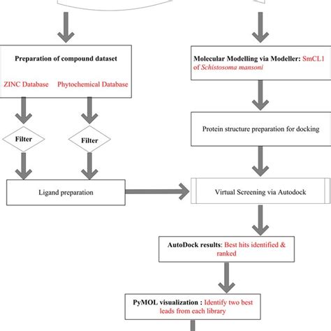 Workflow Diagram Followed In The In Silico Virtual Screening For