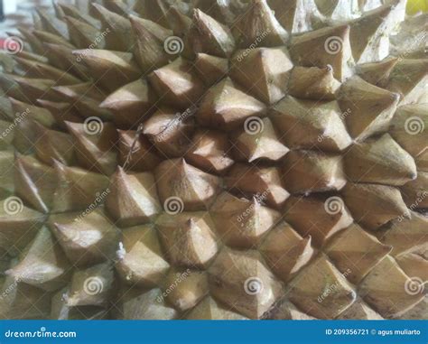 Durian Fruit Skin Stock Image Image Of Baking Ready 209356721