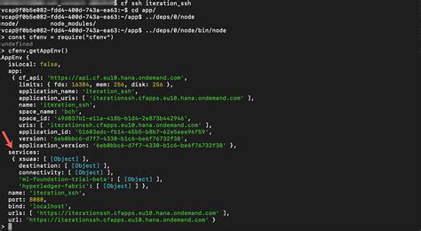 Cloudfoundryfun Upgrade Cloud Foundry With A Sap Community