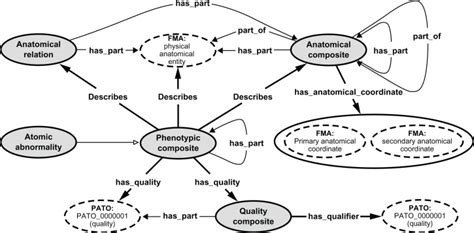 The Phenotype Fragment Ontology Notes Concepts Introduced By The