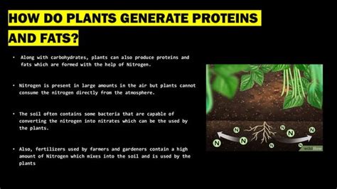 PPT FOR CBSE CLASS SCINCE SUBJECT UNIT CBSE CLASS UNIT SCIENCE PDF