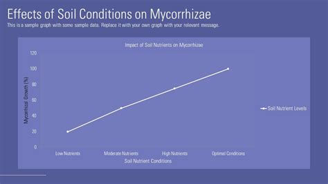 Mycorrhizal Fungi Diagram Ppt Template Acp Ppt Example
