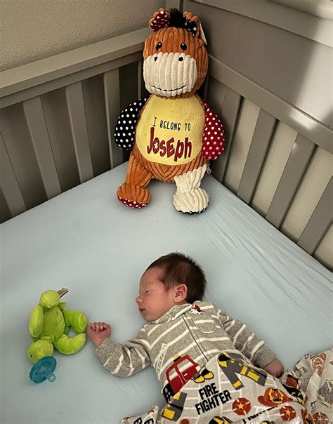 Cubbies Teddy Bear Cubby I Belong To Cubby Etsy