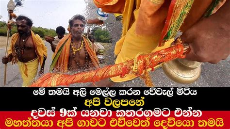 අපි වලපනේ දවස් 9ක් යනවා කතරගමට එන්න මේ තමයි අලි මෙල්ල කරන වේවැල් මිටිය Youtube