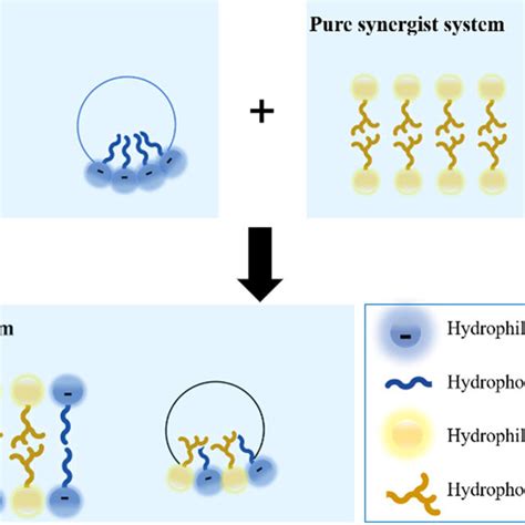 Schematic Of The Dilution Effect In The Mixed Surfactant System Showing Download Scientific
