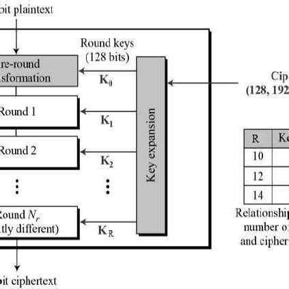 Schematic Of AES Structure Download Scientific Diagram