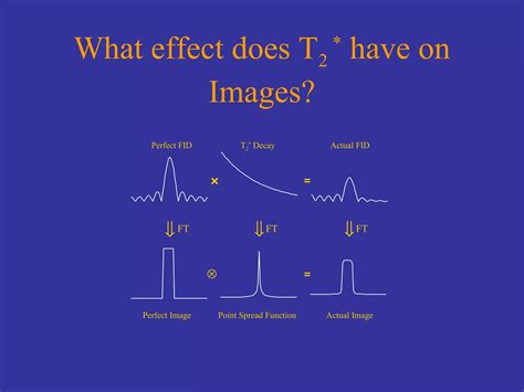 502 Nmr Relaxation Times Ppt Chemistry Science