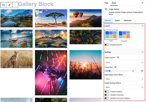 Image Gallery Block Radius Blocks Documentation