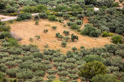 루브 롱 밸리 남부 프랑스의 유명한 레 보드 프로방스 데 중세 마에서 파노라마 보기 0명에 대한 스톡 사진 및 기타 이미지