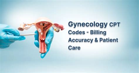 Gynecology Cpt Codes Billing Accuracy And Patient Care