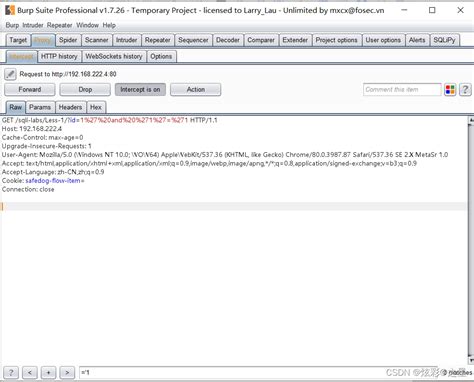 渗透测试 Sql注入之fuzz绕过wafsqlfuzz Csdn博客