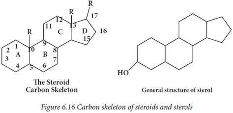 Derived Lipids Example Structure Types Importance Applications Lipids