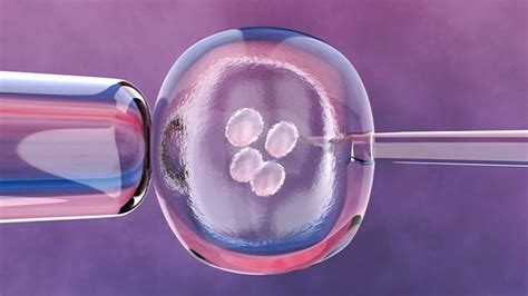 Tetraploid Complementation Assay Stem Cell Care India