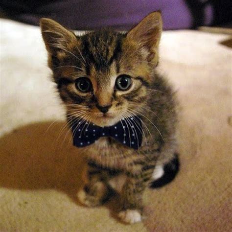 Lets Talk Locks 1 X86 Lock Prefix Hackmd