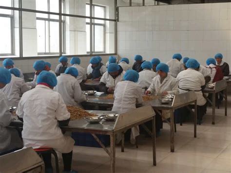 Walnut Kernel Walnut Kernel Factory Walnut Kernel Price China