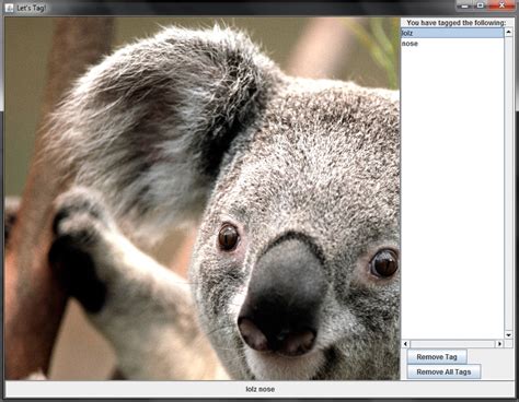 Java Remembering Where A Mouse Clicked Arraylists Hashcodes