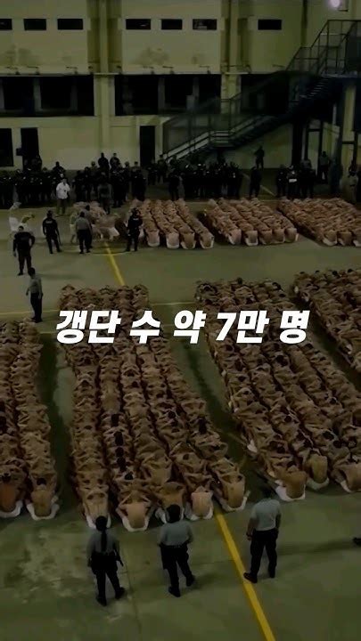 갱단을 삭제시키고 있는 엘살바도르의 대통령 Youtube