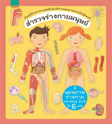 นายอินทร์ หนังสือ นักสืบตายแล้ว 7 Ln ร้านนายอินทร์ Thaipick
