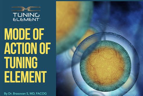 Brochure Landing Page Tuning Element