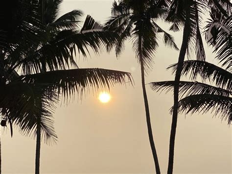 Manu Manohar On Linkedin Beauty Of Kerala