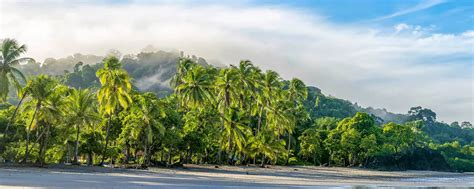 Liberia Holidays In The Northwest Of Costa Rica Edelweiss