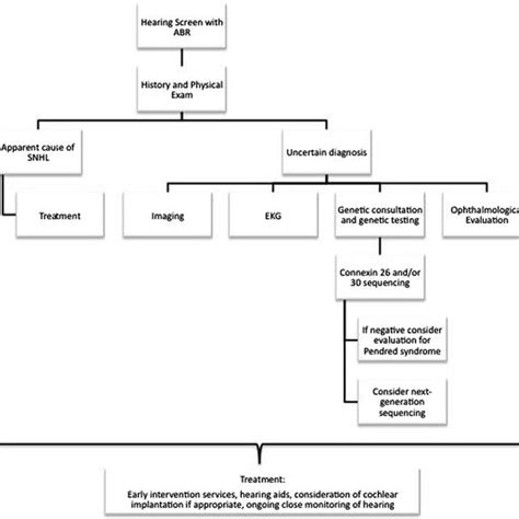 Diagnostic Algorithm For Congenital Hearing Loss Download Scientific