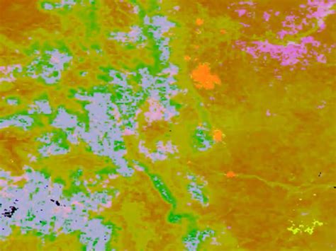 choosing a data access tool appeears area sampler nasa earthdata