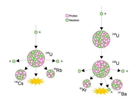 Uranium Atom