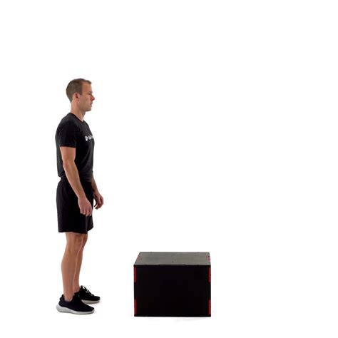 Trainwell Formerly CoPilot Cable Low Row High Row