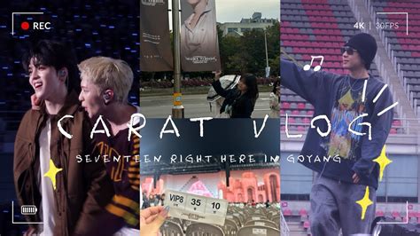 캐럿로그💎 5 살아 숨쉬는 이유 너인데•세븐틴•고양콘서트•고양콘•세븐틴이 안 쉬는데 캐럿이 쉬니 Youtube
