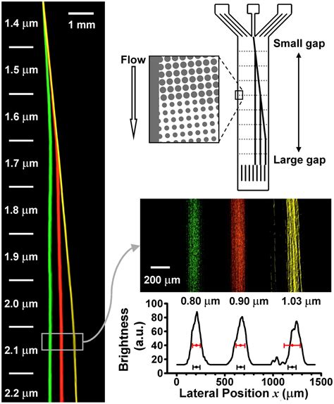Displacement Science
