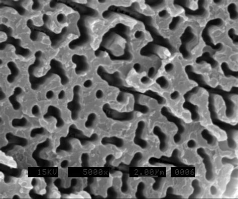 Fabrication And Characterization Of Disordered Polymer Optical Fibers