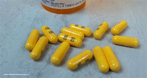 N.C. Veterinarians Must Report Gabapentin Use | Today's Veterinary Business