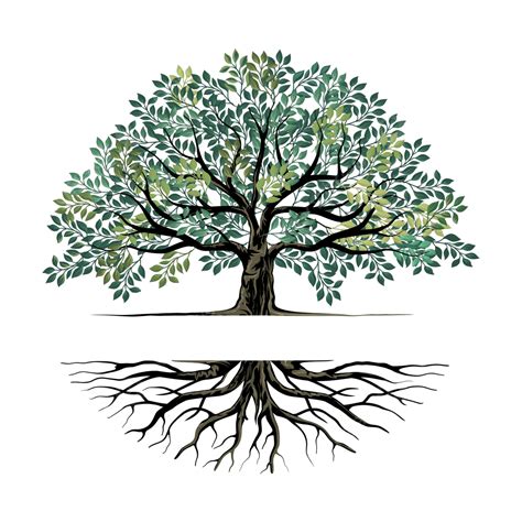 Tree With Roots Vector F