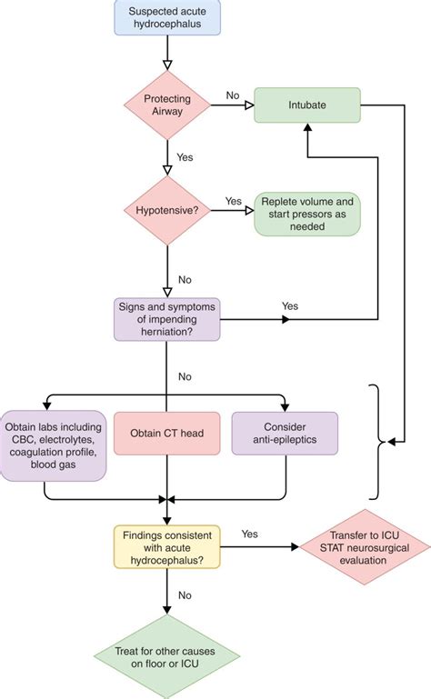 Altered Mental Status In A Patient With Cns Lymphoma Anesthesia Key