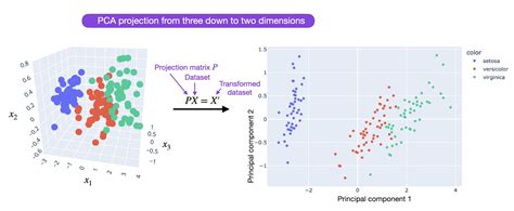 Parameter Efficient Llm Finetuning With Low Rank Adaptation Lora Lightning Ai