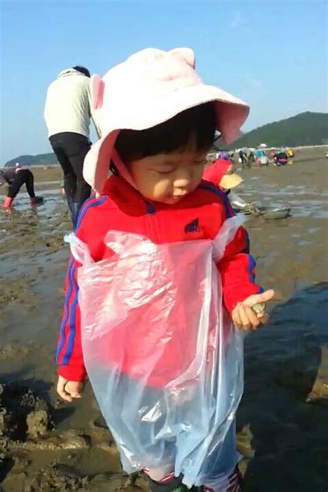 4년째 조개잡이 조개잡이준비물 조개잡이팁 갯벌체험장 네이버 블로그
