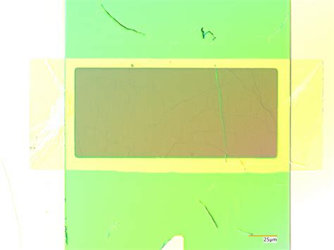 Large Tear Object Detection Dataset By Jonathan Keeley