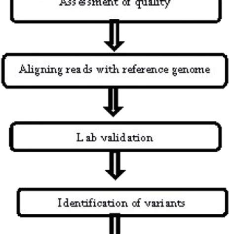 Workflow Depicting Computational Analysis Of NGS Data Download Scientific Diagram