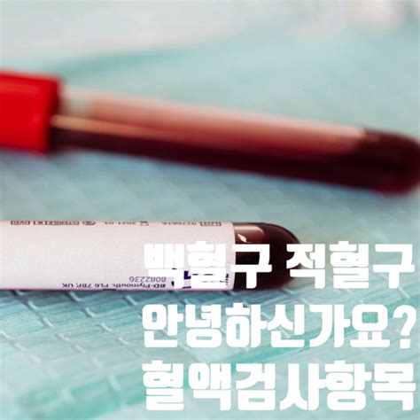 내 백혈구🩸적혈구는 건강하신가요 피검사지항목 Cbc검사일반혈액검사 Wbcrbc Hbplatelet Hct Mcv등결과 해석까지 한번에 알아보기혈소판수치까지