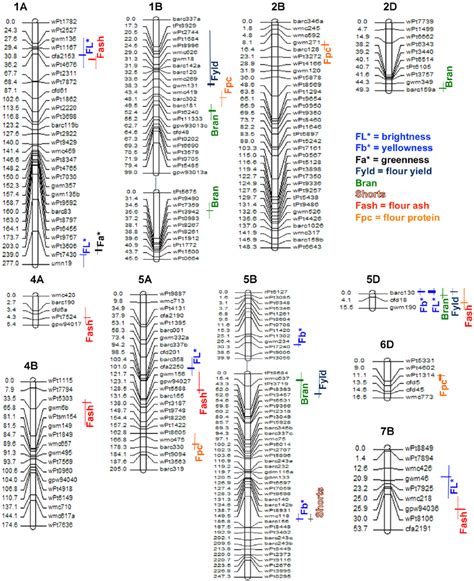 Partial Chromosome Regions Depicting Quantitative Trait Loci Associated