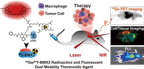 Radioactive And Fluorescent Dual Modality Cysteine Cathepsin B Activity Based Probe For Cancer