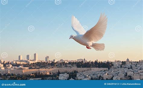 A Majestic White Dove With Spread Wings Gracefully Overlooks The