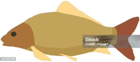 요리 강 물고기 개념 지느러미 꼬리 및 비늘이있는 십자군 잉어 강 생선 제품 준비 강에 대한 스톡 벡터 아트 및 기타 이미지