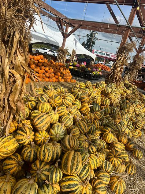 Sterino Farms Sterino Farms Added A New Photo